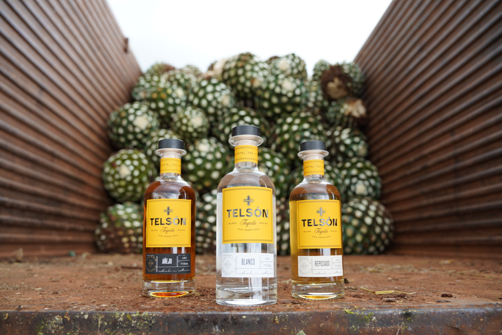 TELSÓN TEQUILA | Tequila as Bold as You